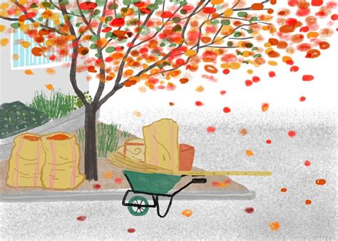 11월 6일 금요일