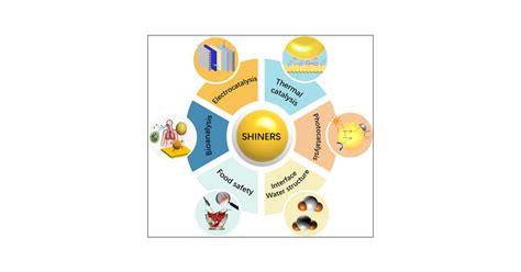Shell Isolated Nanoparticle Enhanced Raman Spectroscopy Toward High