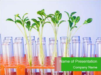 Green Seedlings Lab Experiment Methods Results And Analysis In Plant Science PowerPoint