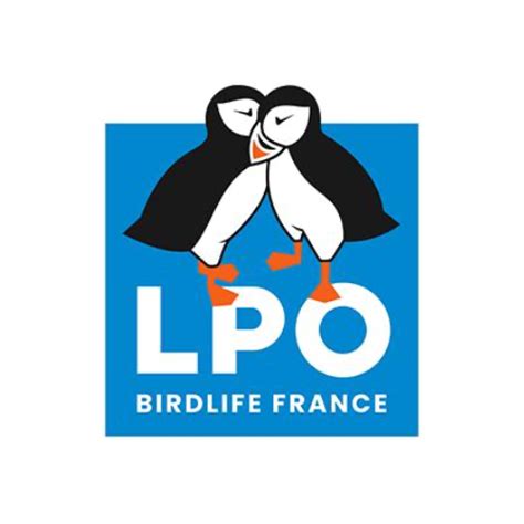 They Use Or Talk About Qdt Qgis Deployment Toolbelt 0392 Documentation