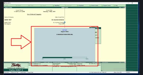 How To Export Marg Data And Import In Tally Software