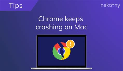 Chrome Keeps Crashing On Mac Heres How To Fix It Nektony