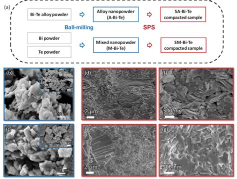 A Synthesis Scheme Of Nanopowders And Sps Compacted Samples Of Bi And Download Scientific