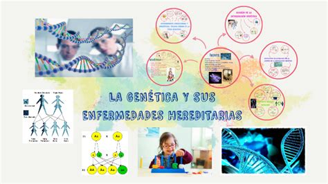 La GenÉtica Y Sus Enfermedades Hereditarias By Trabajo Genética On Prezi