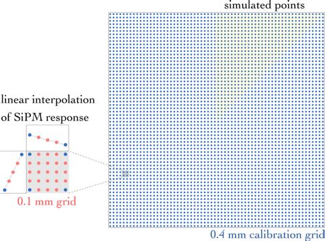 Calibration Grid Used For Simulation In Blue The 0 4 Mm Grid Is Download Scientific Diagram