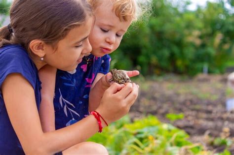 Premium Photo Girl Hold A Toad In The Palm Of Her Hand Selective Focus