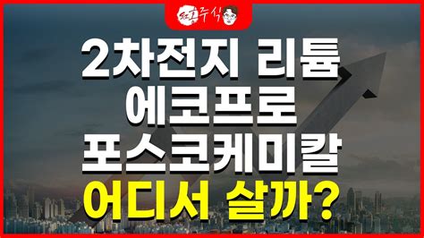 2차전지 리튬에코프로 포스코케미칼어디서 살까 Youtube