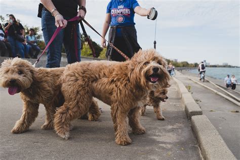 Two Door Group Two Door Group At Compass