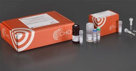 Bioecho Introduces The Echolution Tissue Rna Kit