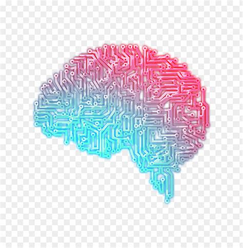 Brain Outline Png