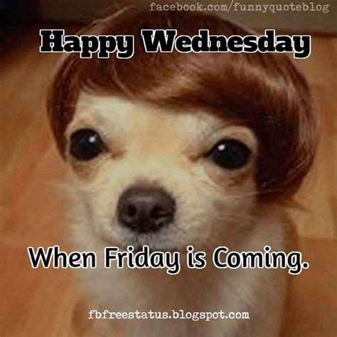 Funny Wednesday Meme Images Pictures And Photos