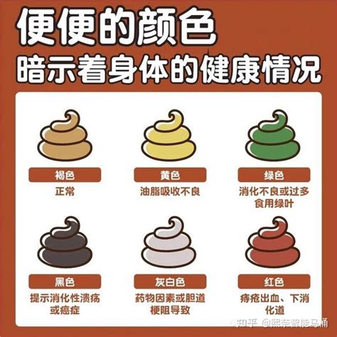 透过便便辨肠胃健康颜色 气味篇 知乎
