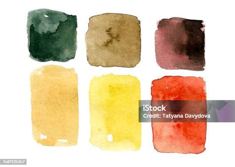 여름 과일 색조의 6 개의 직사각형 수채화 세트 노란색 주황색 빨간색 짙은 녹색 0명에 대한 스톡 벡터 아트 및 기타 이미지 0명 Dark Green