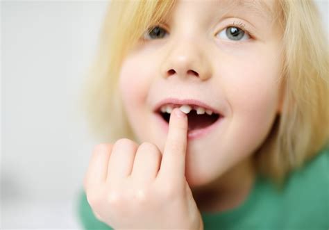 Why Do My Teeth Feel Loose But Not Wobbly Causes And Caring Tips