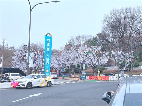 꽃핀 줄 알고 가까이 갔더니twt 인스티즈instiz 이슈 카테고리