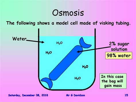 Living Cells Diffusion And Osmosis Mr G Davidson Ppt Download