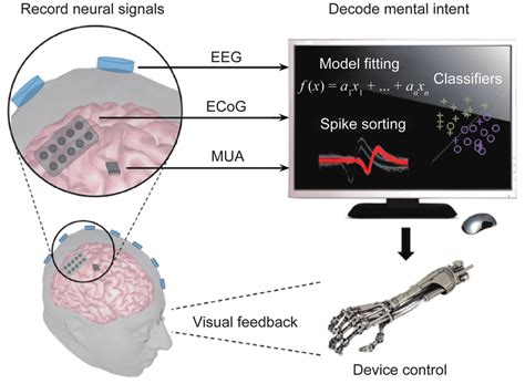 Brain Computer Interface