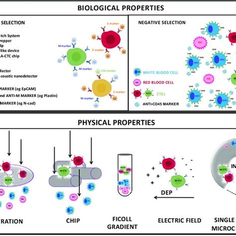 Schematic View Of Technologies For Ctcs Isolation Methods Based On