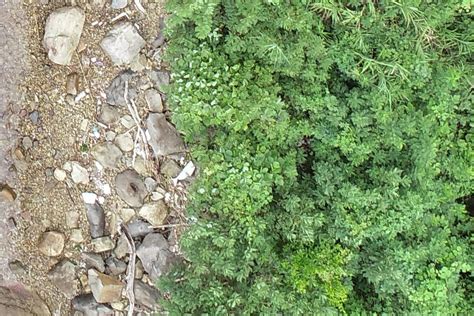 Top Styrofoam Box Datasets And Models Roboflow Universe