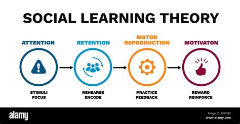 Social Learning Theory Diagram Information With Motivational And Research Stock Vector Image