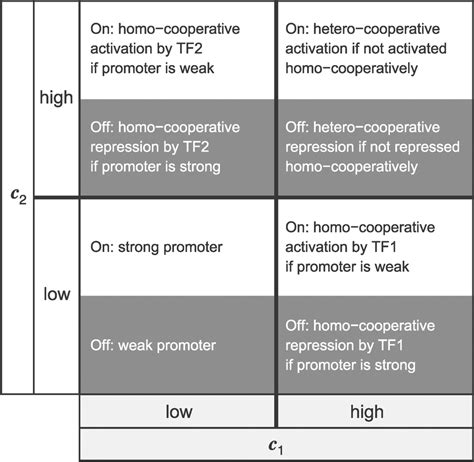 Table Summarizing Which Homo Cooperative Or Hetero Cooperative