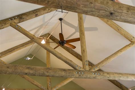 Wholetrees Structures Shade Trees Nursery