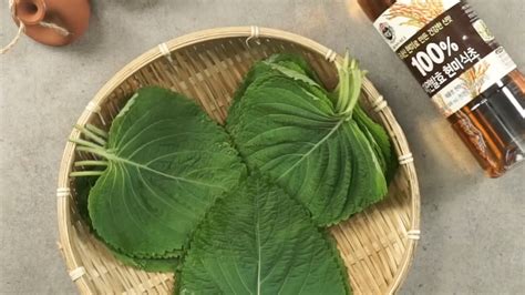 깻잎장아찌 만드는 법 깻잎절임 간장깻잎장아찌