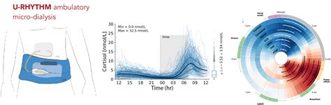 Quantifying Heterogeneity And Variability In Human Daily Rhythms