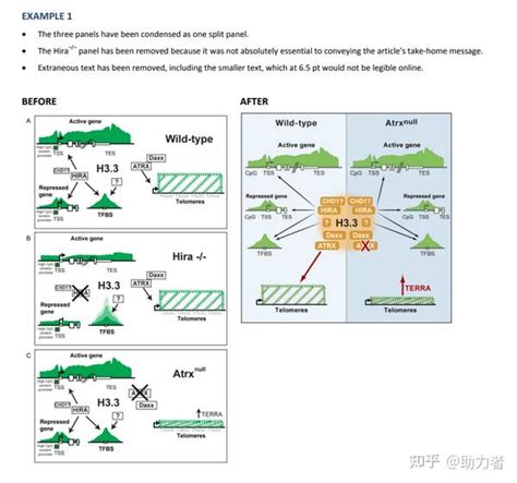 高质量的graphical Abstract应该这么做，大部分作者都忽视！ 知乎