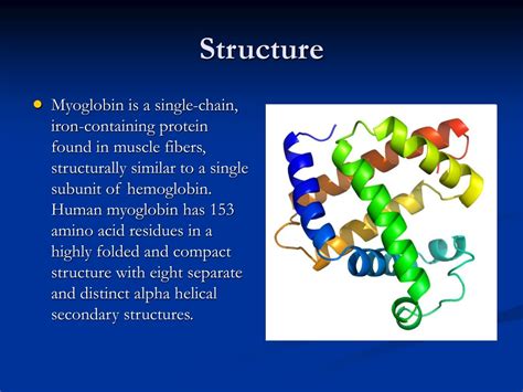 PPT Exploring Myoglobin The Oxygen Carrying Protein In Muscle Tissues PowerPoint Presentation