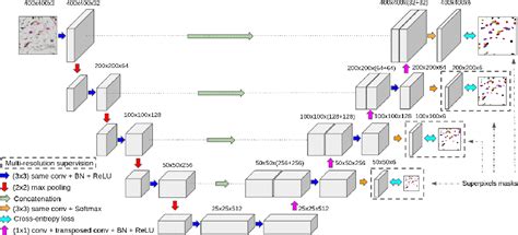 Figure 3 From Weakly Supervised Cell Segmentation For Multiplex