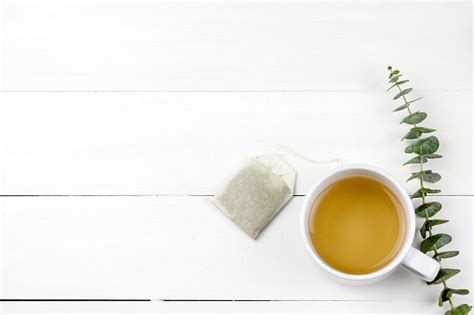 유칼립투스 실버 달러 공장 아침 차 컵 흰색 나무 패널 배경에 나뭇잎 0명에 대한 스톡 사진 및 기타 이미지 0명 겨울 꽃 식물 Istock