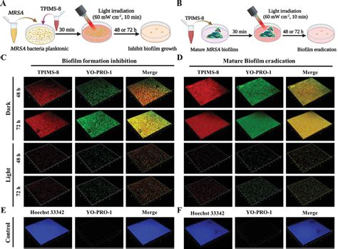 Schematic Overview Of Evaluating The Capability Of TPMS To A Inhibit Download Scientific