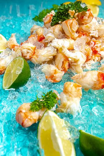 게 고기와 신체 부위 촉수 무릎 큐브 얼음에 푸른 해양 배경 레몬과 라임 의 조각은 녹색 빛 상단 측면보기 주위에 주위에 둥근 슬라이스 갈고리 발톱에 대한 스톡 사진 및
