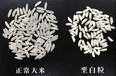 掌握米袋上的“神秘代码”，你比菜市场大妈更会挑选大米 财经头条