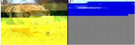 Python Как исказить картинку Stack Overflow на русском