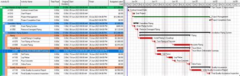 Using The P WBS Summary Task To Specify A Lump Sum Cost