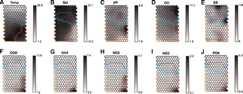 Visualization Of Environmental Parameters Calculated In The Trained Download Scientific Diagram