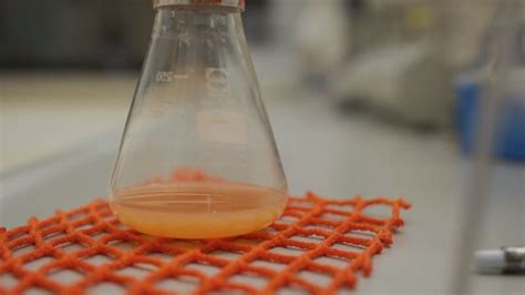 Glaukos Project On Linkedin Sustainable Enzymatic Depolymerization Bioupcycling Short Videos…