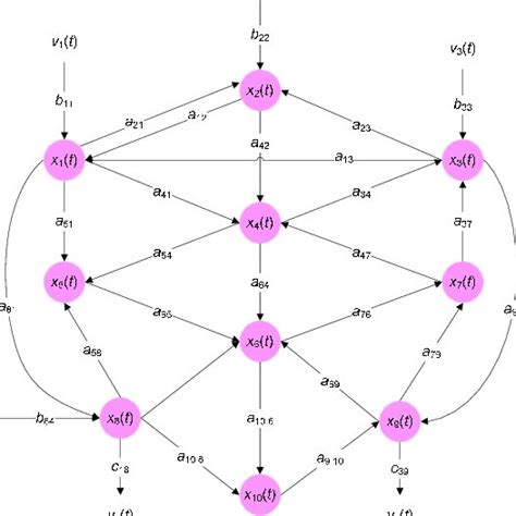 A Simple Linear Stochastic Biological Network With Stochastic Dynamic