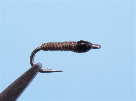 Yong Special Midge My Site