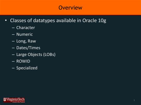 Oracledatatypes