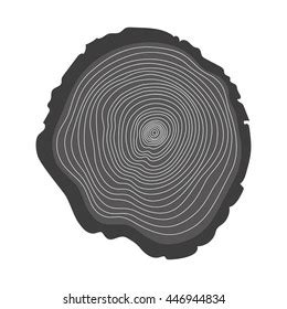 Tree Rings Illustration Vector Illustration Stock Vector Royalty Free Shutterstock
