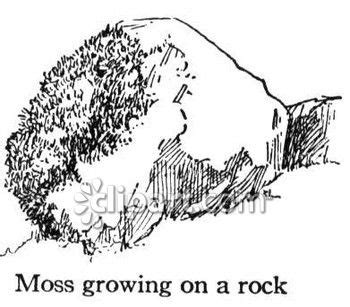 Moss Clipart 19 Free Cliparts Download Images On Clipground 2026