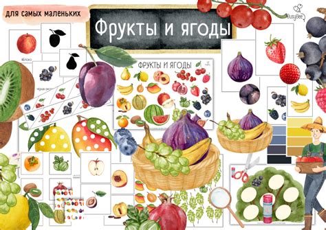 ОВОЩИ И ФРУКТЫ