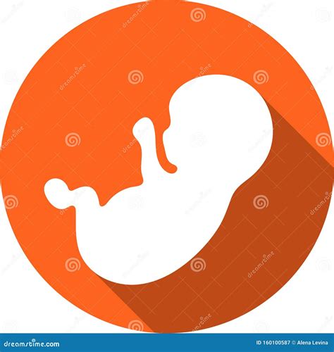Ícone De Feto Ícone Embrião Ícone De Bebê Com Uma Sombra Ilustração Do
