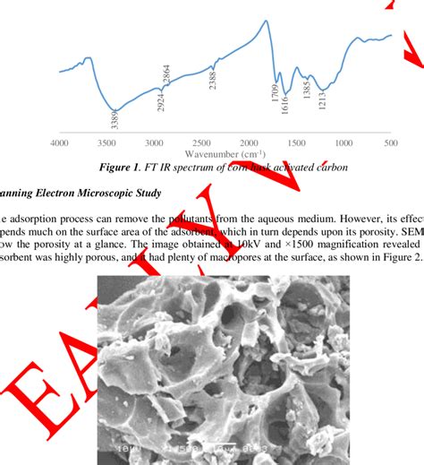 Sem Image Of Activated Carbon Prepared From Corn Husk Download