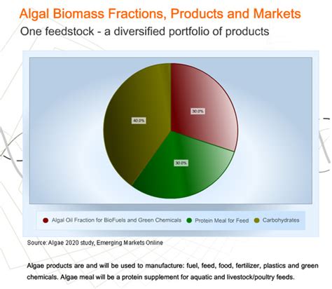 Oil Algae Extraction Pdf Powerposts