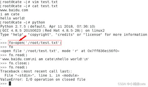 Python编程：文件操作指南 Csdn博客