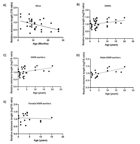 Relative Telomere Length Telomere To Single Copy Gene Ts Ratio As Download Scientific